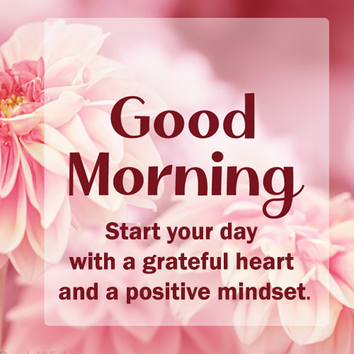 Creating an Engaging Morning Ritual with 50 Quotes for Good Morning ...
